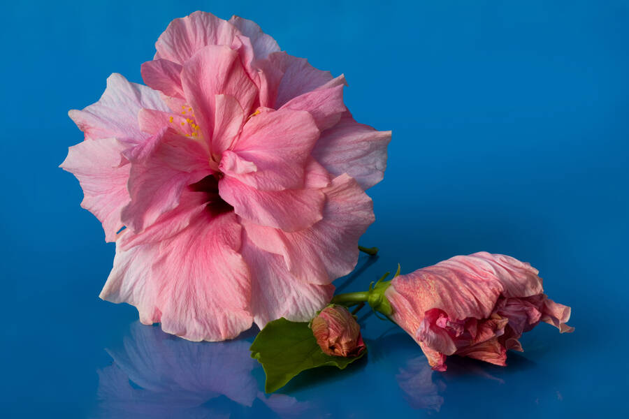 UFM Radio Listen Live - 90.0 MHz FM, Riyadh, Saudi Arabia | Online ...