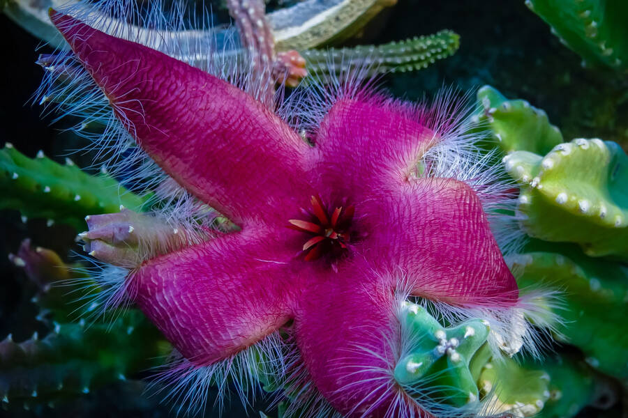 96.9 KDLO Country Listen Live - Watertown, United States | Online Radio Box