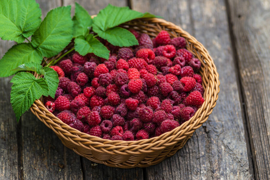 570 KVI Listen Live - 570 kHz AM, Seattle, United States | Online Radio Box