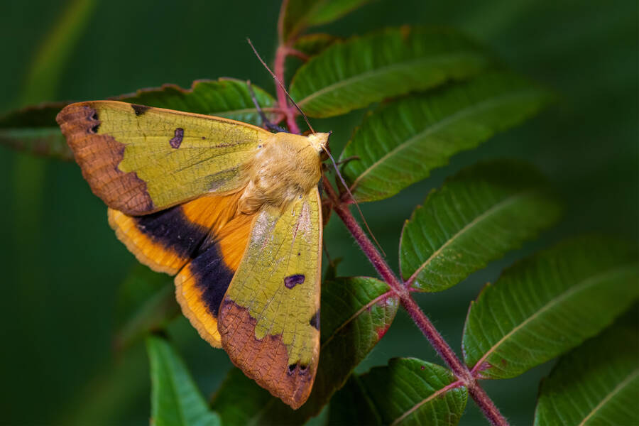 Listen to italian radio stations online - best italian stations for ...