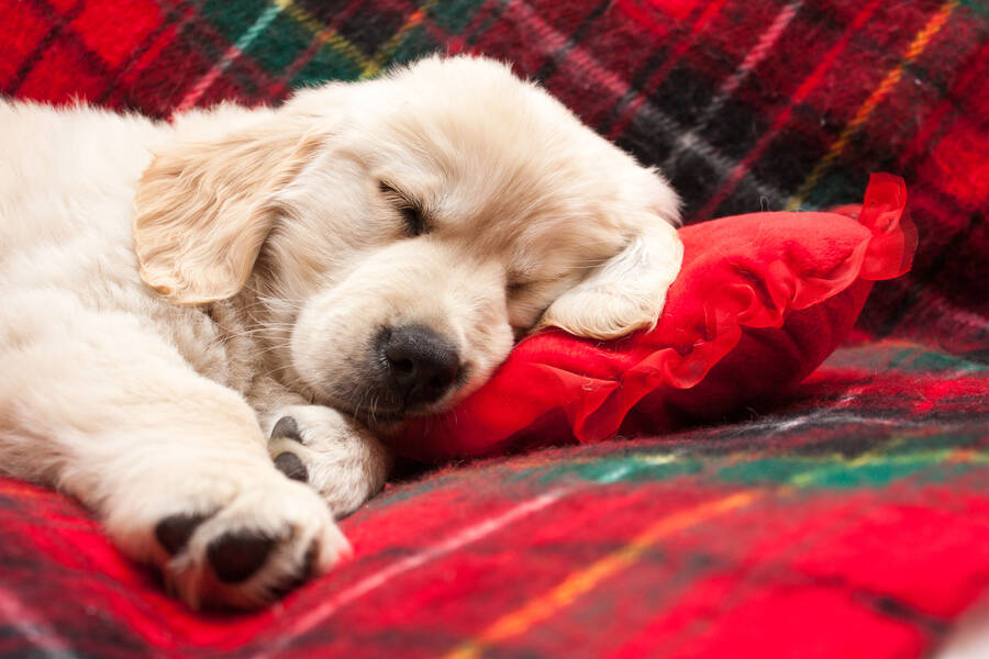 NewsTalk 550 KFYI Listen Live - Phoenix, United States | Online Radio Box