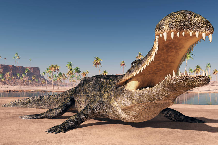 Bula FM Listen Live - 102.6 MHz FM, Suva, Fiji | Online Radio Box