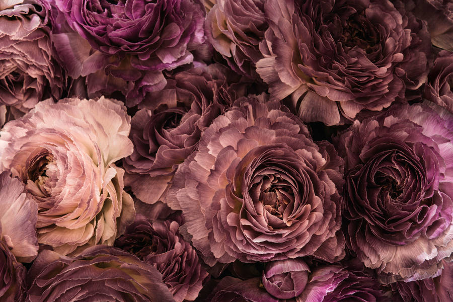 KMBZ-FM Listen Live - 98.1 MHz FM, Kansas City, United States | Online ...