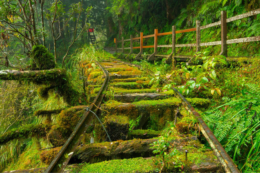 Prambors FM streaming - 89.3 MHz FM, Surabaya, Indonesia | Online Radio Box