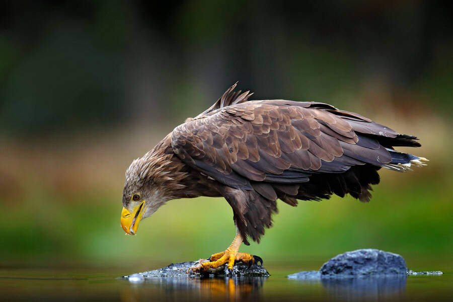 WBOK 1230 Listen Live - New Orleans, United States | Online Radio Box