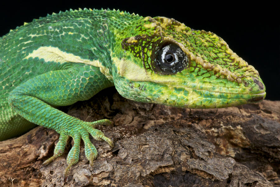 News Radio 1110 KFAB Listen Live - Omaha, United States | Online Radio Box