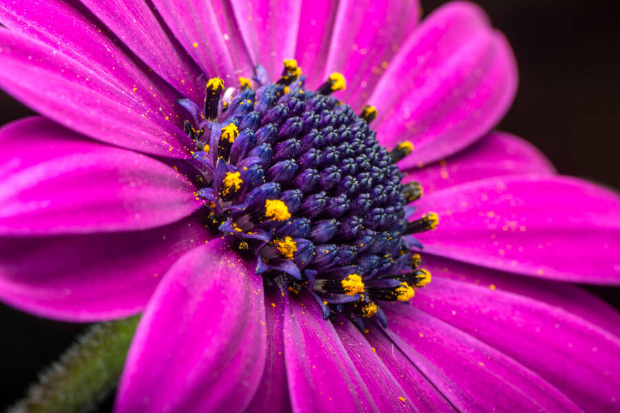 WWNR 620AM-101.1FM Listen Live - Beckley, United States | Online Radio Box