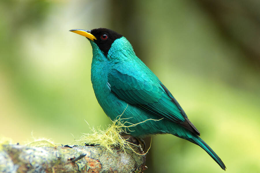 Kool 102 - KQLL Listen Live - 1280 kHz AM, Henderson, United States ...