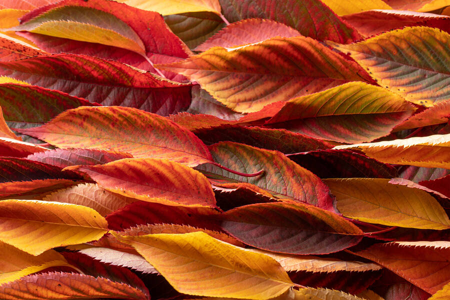 102 WVAQ Listen Live - 101.9 MHz FM, Morgantown, United States | Online ...