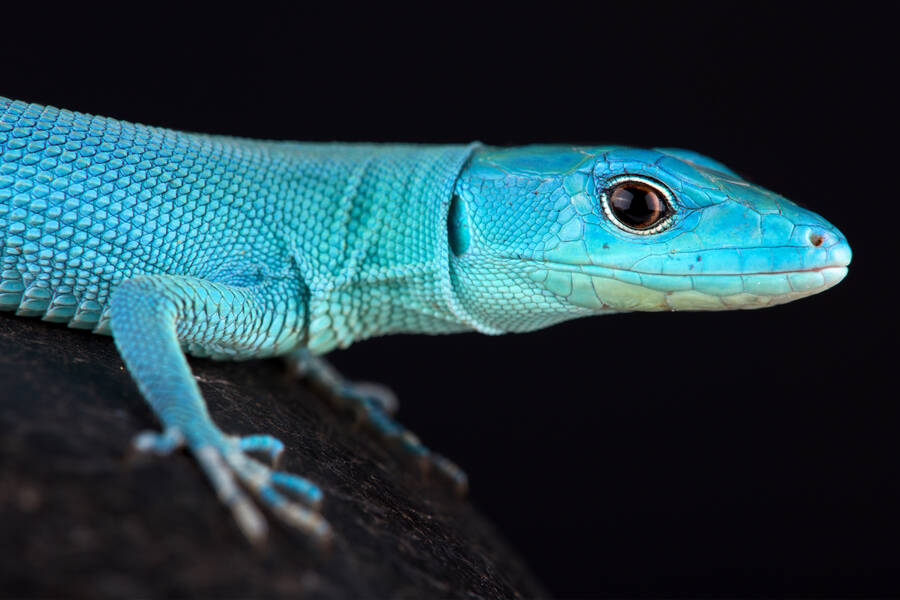 KRGI AM 1430/105.5 FM Listen Live - Grand Island, United States ...