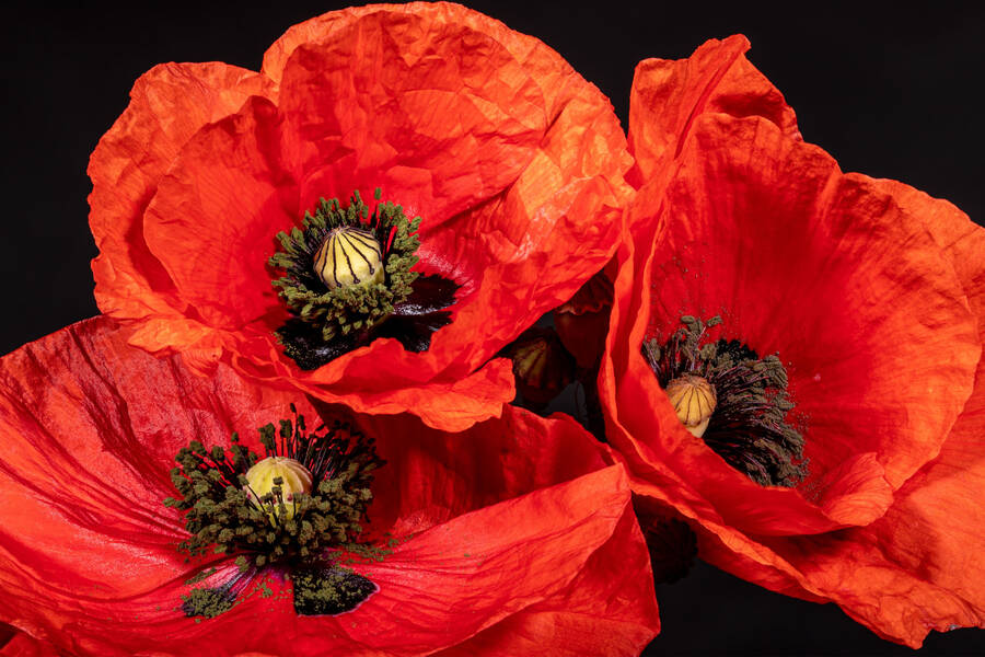 Zeta FM - Te mueve en Vivo - 95.1 MHz FM, San José, Costa Rica | Online ...