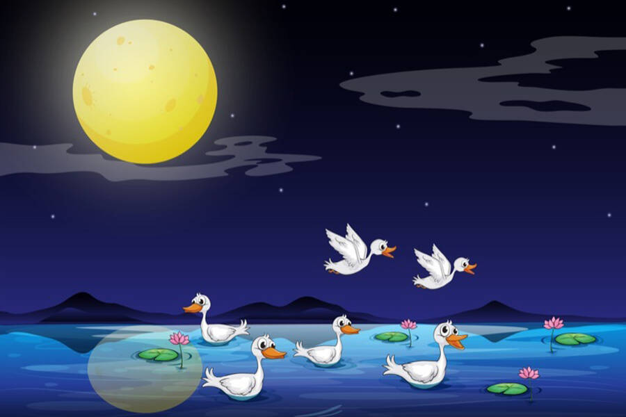 KGO 810 AM Listen Live - San Francisco, United States | Online Radio Box