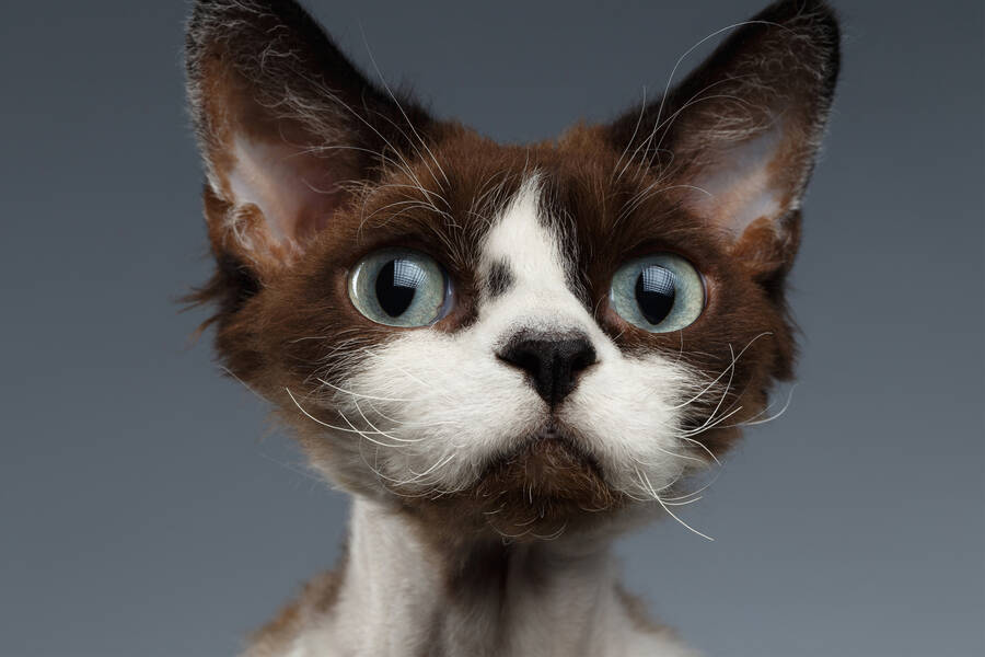 Newsradio 790 WAEB Listen Live - Allentown, United States | Online ...