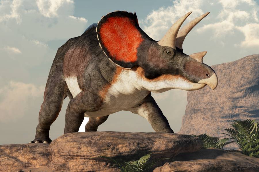 92.9 The Grand Listen Live - 92.9 MHz FM, Quesnel, Canada | Online ...