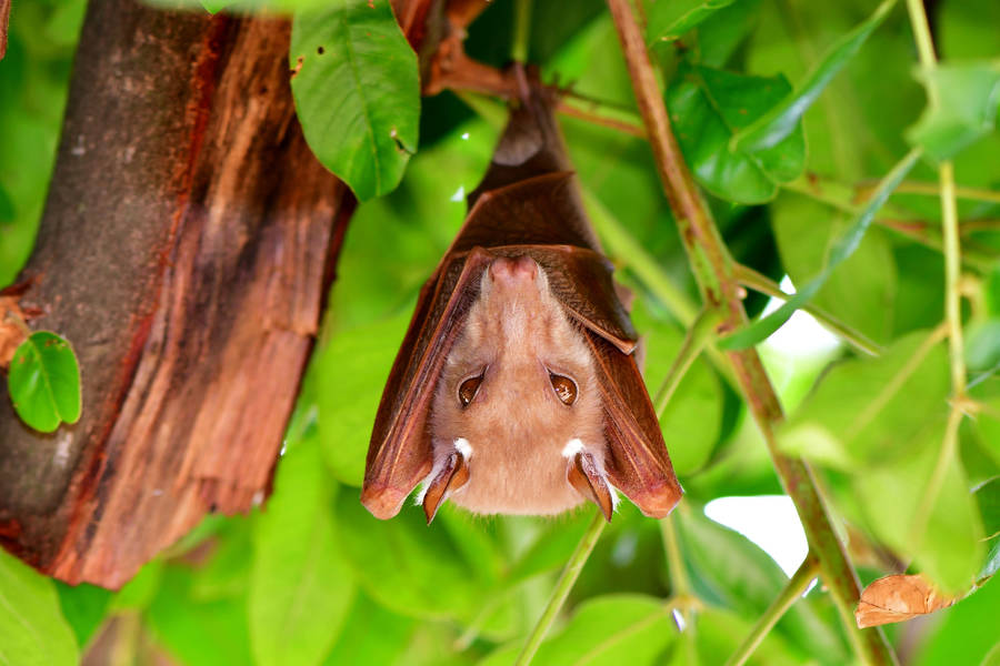 News Talk 1590 KVTA Listen Live - Ventura, United States | Online Radio Box