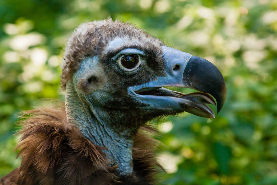 Mix 98.7 Listen Live - WJKK, 98.7 MHz FM, Jackson, United States ...