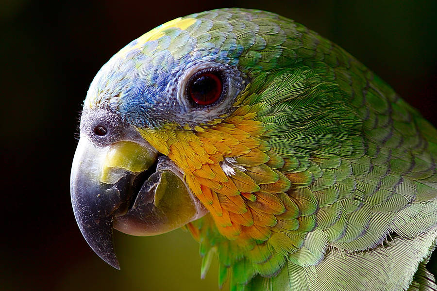 Star 947 Listen Live - 94.7 MHz FM, Port of Spain, Trinidad and Tobago ...