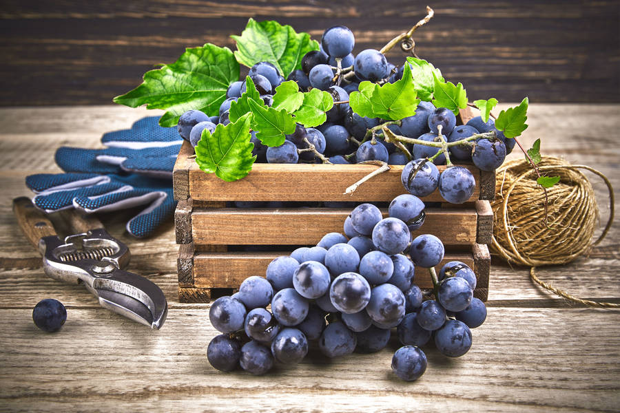 WSBB RADIO AM 1230 & AM 1490 Listen Live - New Smyrna Beach, United ...