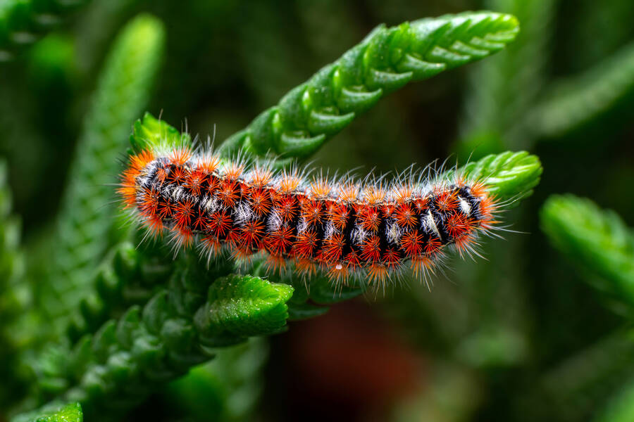 KyXy 96.5 Listen Live - San Diego, United States | Online Radio Box