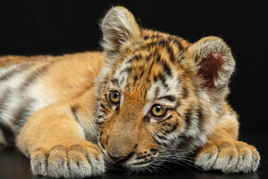 CRHK 903 Listen Live - 90.3 MHz FM, Hong Kong, Hong Kong | Online Radio Box