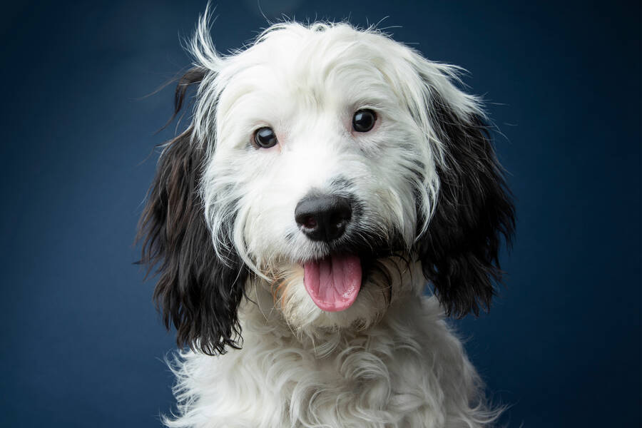 WCBM Listen Live - 680 kHz AM, Baltimore, United States | Online Radio Box