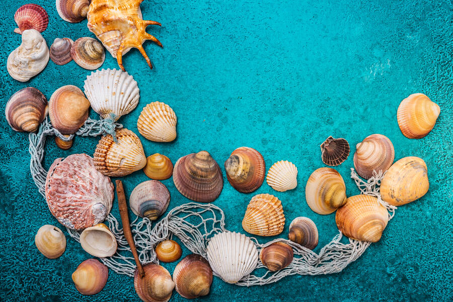 Star 102 Listen Live - 102.1 MHz FM, Cleveland, United States | Online ...