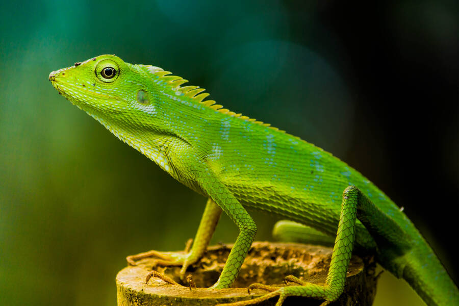 KMOR 93.3 Listen Live - Gering, United States | Online Radio Box