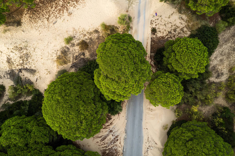 KMBZ-FM Listen Live - 98.1 MHz FM, Kansas City, United States | Online ...