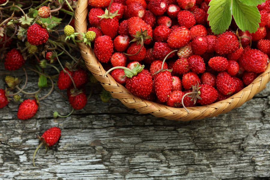 KOJM The Rock Listen Live - 610 kHz AM, Havre, United States | Online ...