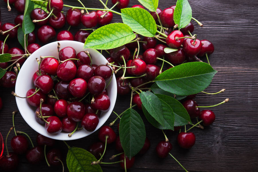 Wisconsin Badger Sports Network Listen Live - Madison, United States ...