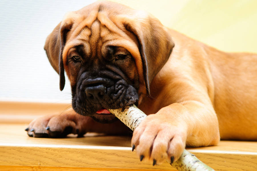 Online Radio Box - listen to the radio online for free