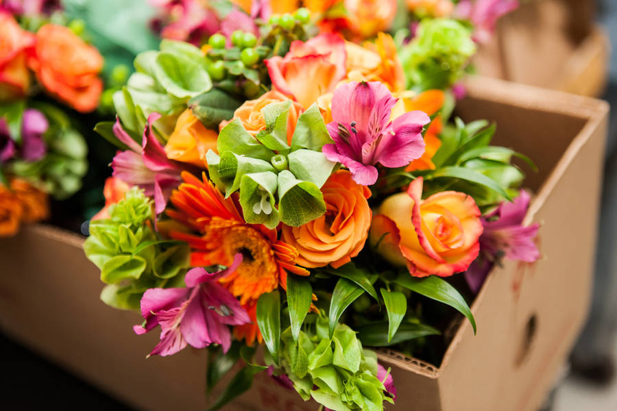 Magic 80s Florida Listen Live - Margate, United States | Online Radio Box