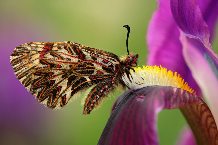 KYIZ 1620 AM Listen Live - Renton, United States | Online Radio Box