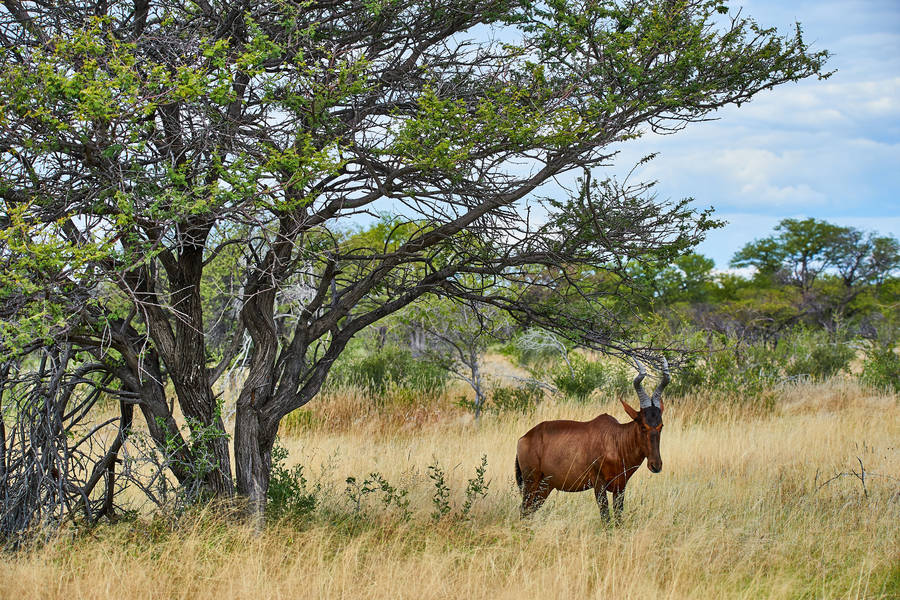 KKUP 91.5 FM Listen Live - Cupertino, United States | Online Radio Box