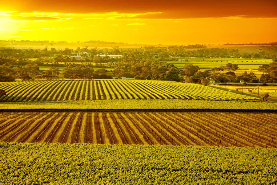 Newstalk 1010 Listen Live - CFRB, 1010 kHz AM, Toronto, Canada | Online ...