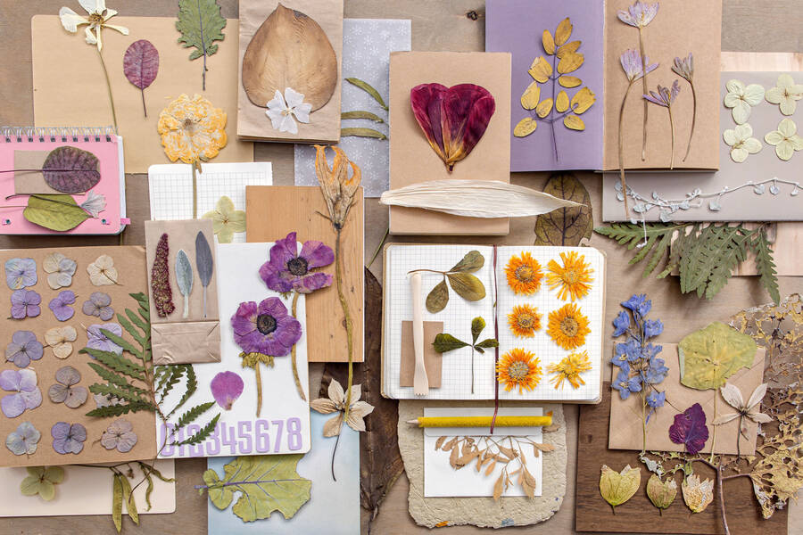 Naxi Boem Radio uživo - Beograd, Srbija | Online Radio Box