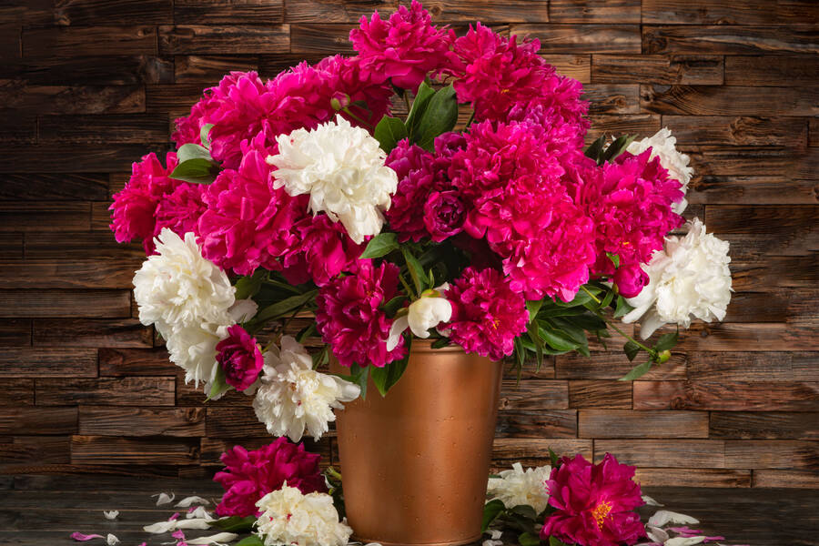 WSRF 1580 AM Listen Live - Fort Lauderdale, United States | Online ...