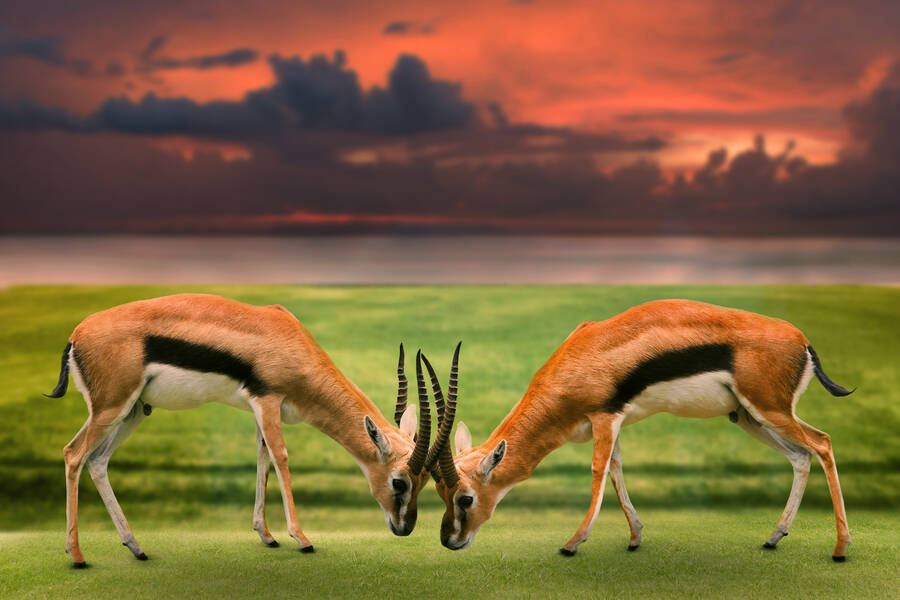 Običan Radio Mostar Listen Live - 105.3-106.5 MHz FM, Mostar, Bosnia ...