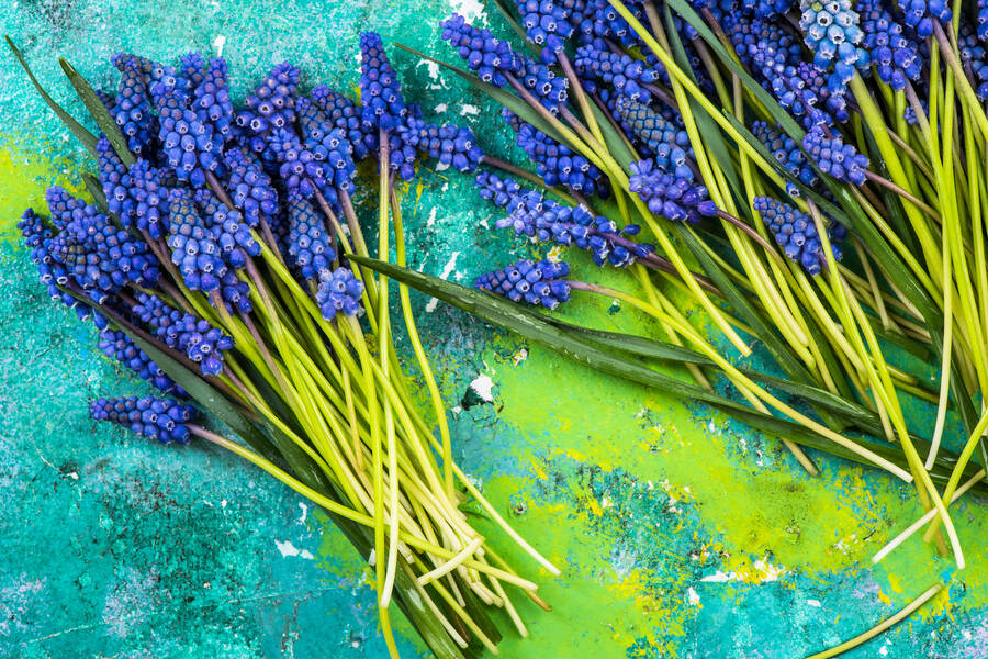 106.3 KLOO Listen Live - Corvallis, United States | Online Radio Box