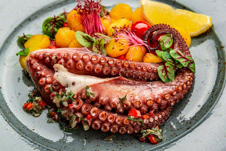 Radio Suby Ascolta la diretta - 103.2 MHz FM, Assisi | Online Radio Box