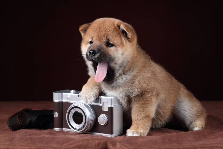 Zaa Radio Listen Live - 99.3 MHz FM, Tamale, Ghana | Online Radio Box