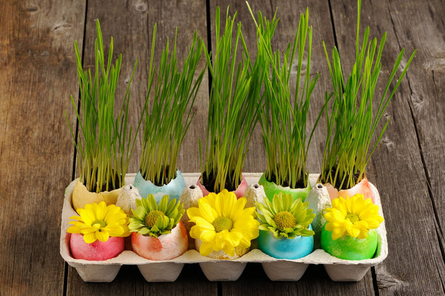 WJWJ Transmitter frequencies - United States - Online Radio Box