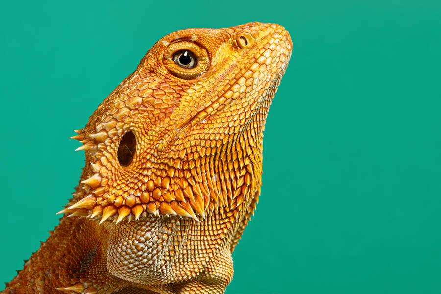 Prambors FM streaming - 102.2 MHz FM, Jakarta, Indonesia | Online Radio Box