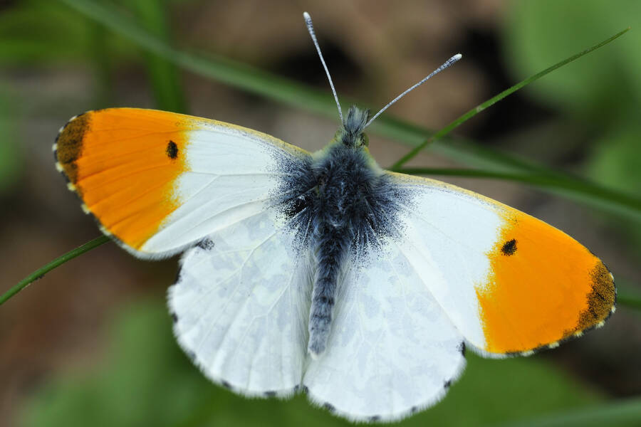 Magic 80s Florida Listen Live - Margate, United States | Online Radio Box