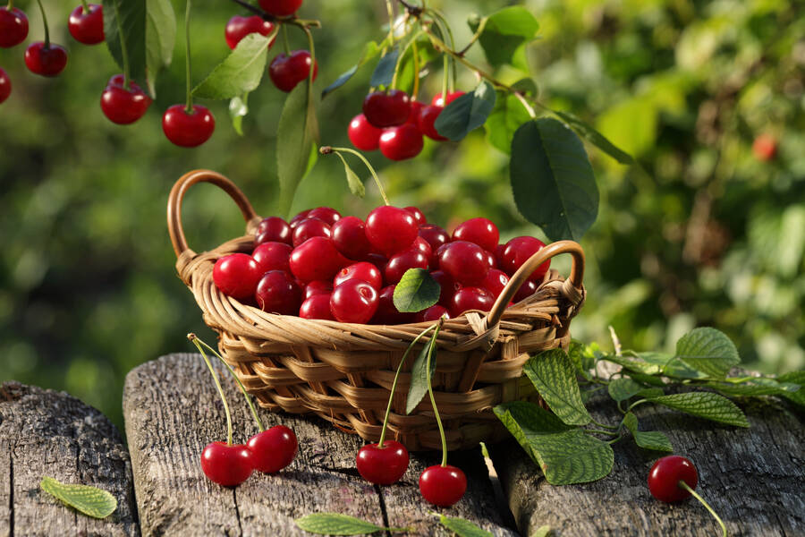 Magic Malta Radio Listen Live - 91.7 MHz FM, Hal Gharghur, Malta ...