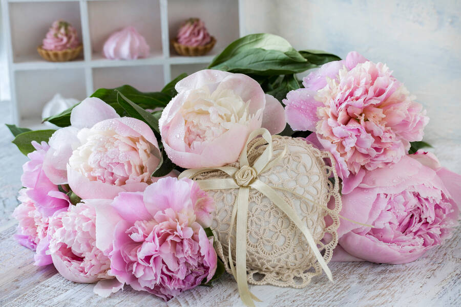 WPNN 103.7FM/790AM Listen Live - Pensacola, United States | Online ...