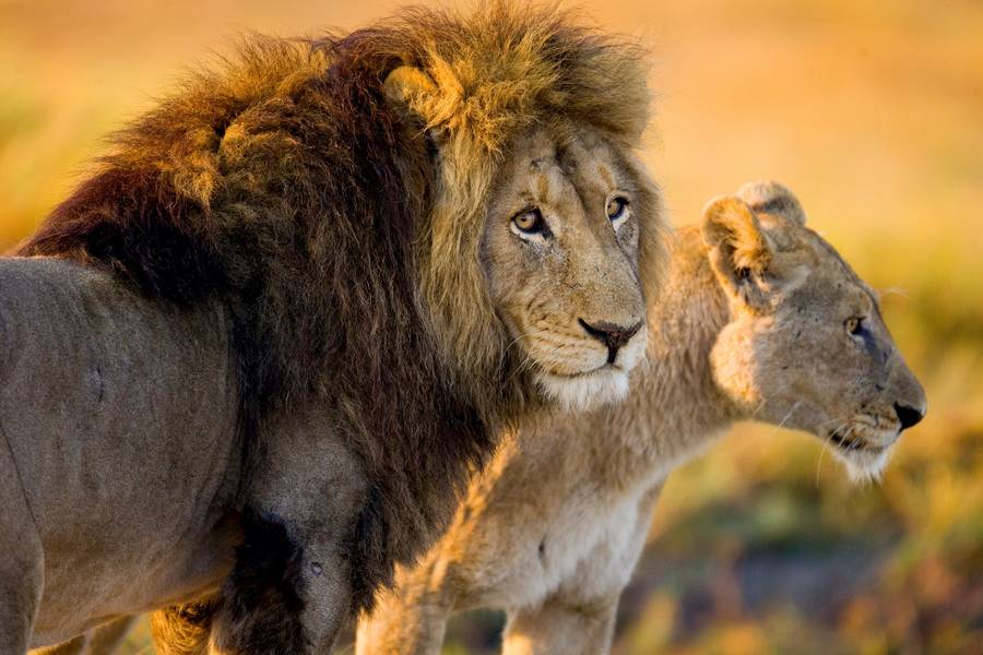 La Kaliente 1370 AM Listen Live - San Jose, United States | Online ...