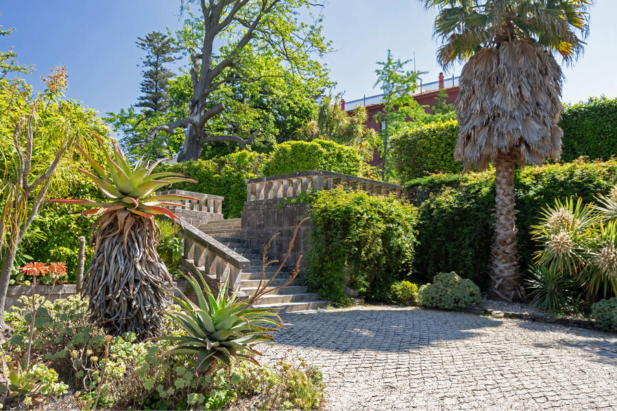 WNOO Listen Live - 1260 kHz AM, Chattanooga, United States | Online ...