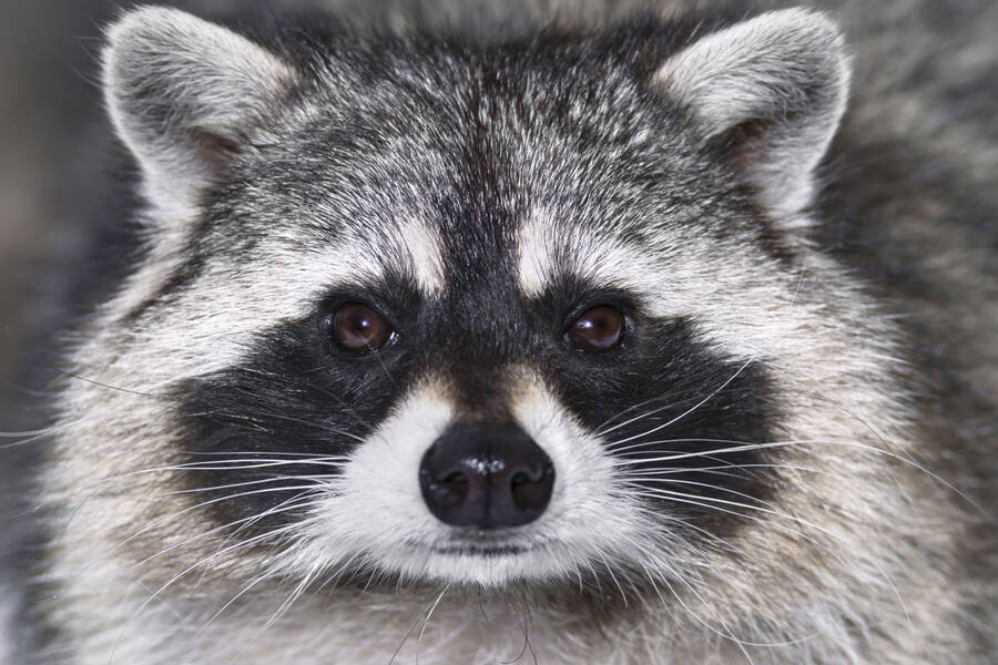 Dytr Bohol Radio live streaming - Tagbilaran, Philippines | Online ...