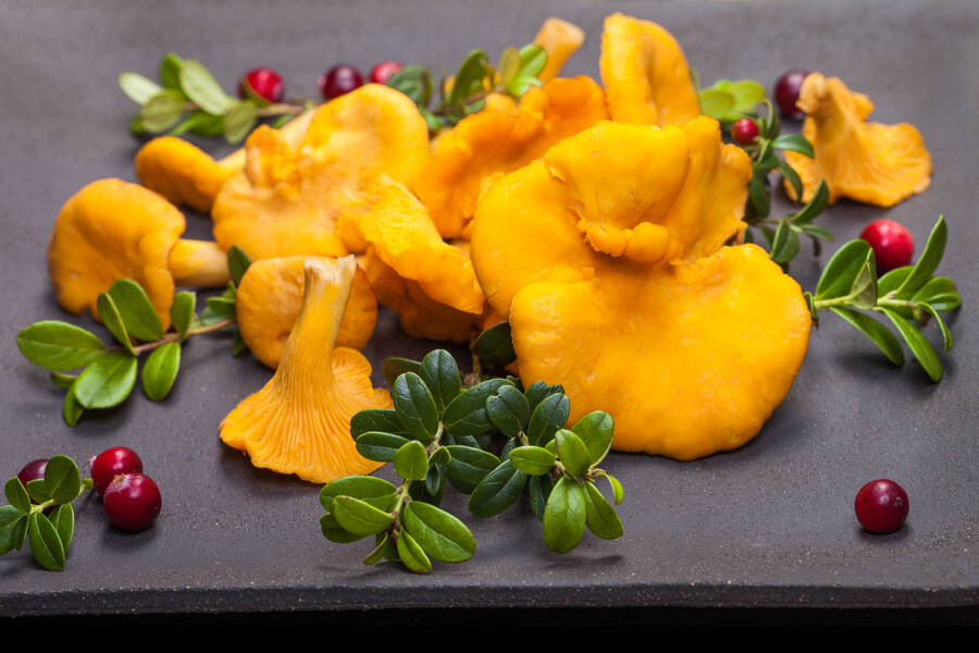 Magic Malta Radio Listen Live - 91.7 MHz FM, Hal Gharghur, Malta ...